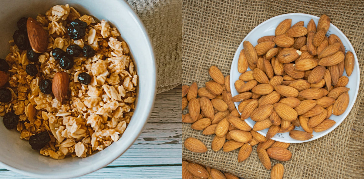 Best Food to Eat for a Day Hike– Highlander Outdoor